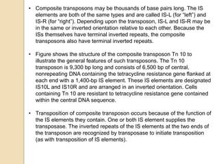 transposons | PPTX