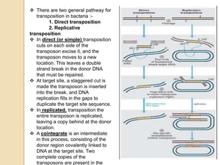 transposons | PPTX