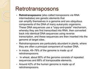 transposons | PPTX