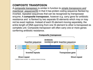transposons | PPTX