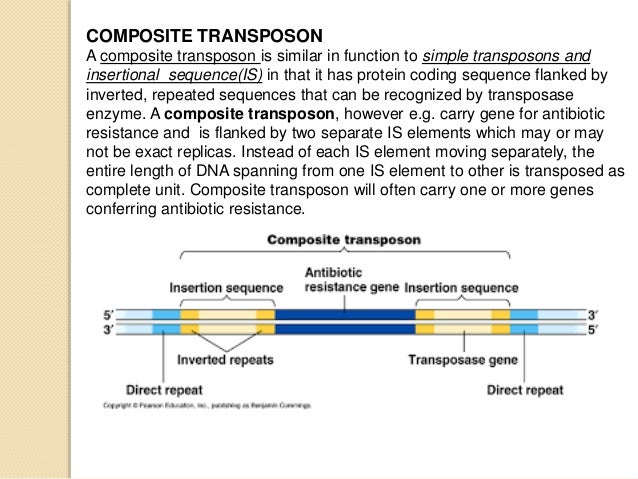 transposons