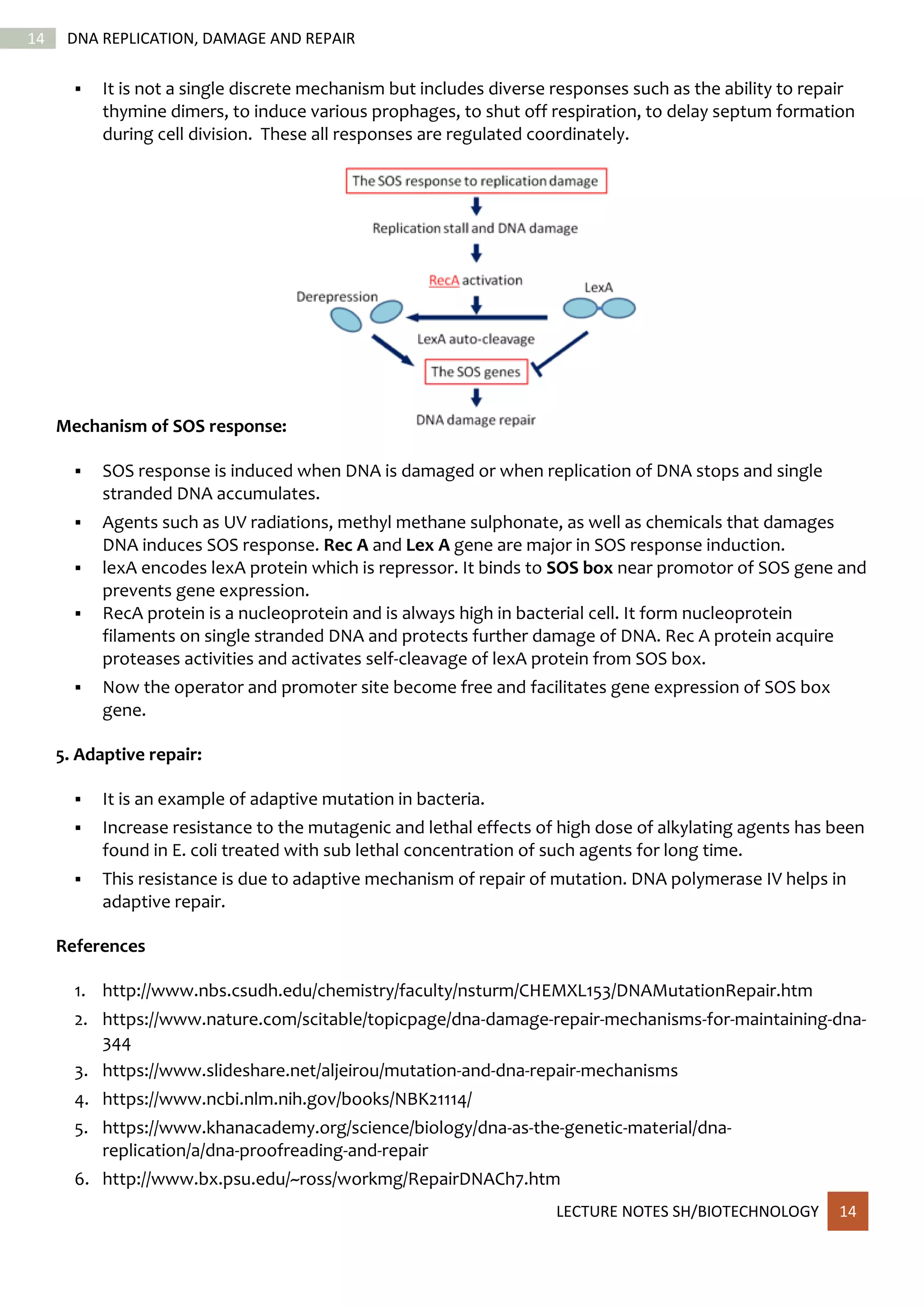 DNA REPLICATION DAMAGE AND REPAIR | PDF