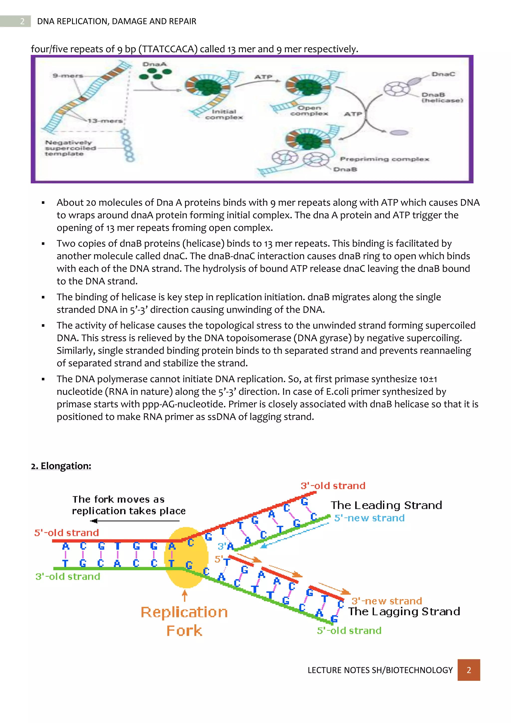 DNA REPLICATION DAMAGE AND REPAIR | PDF