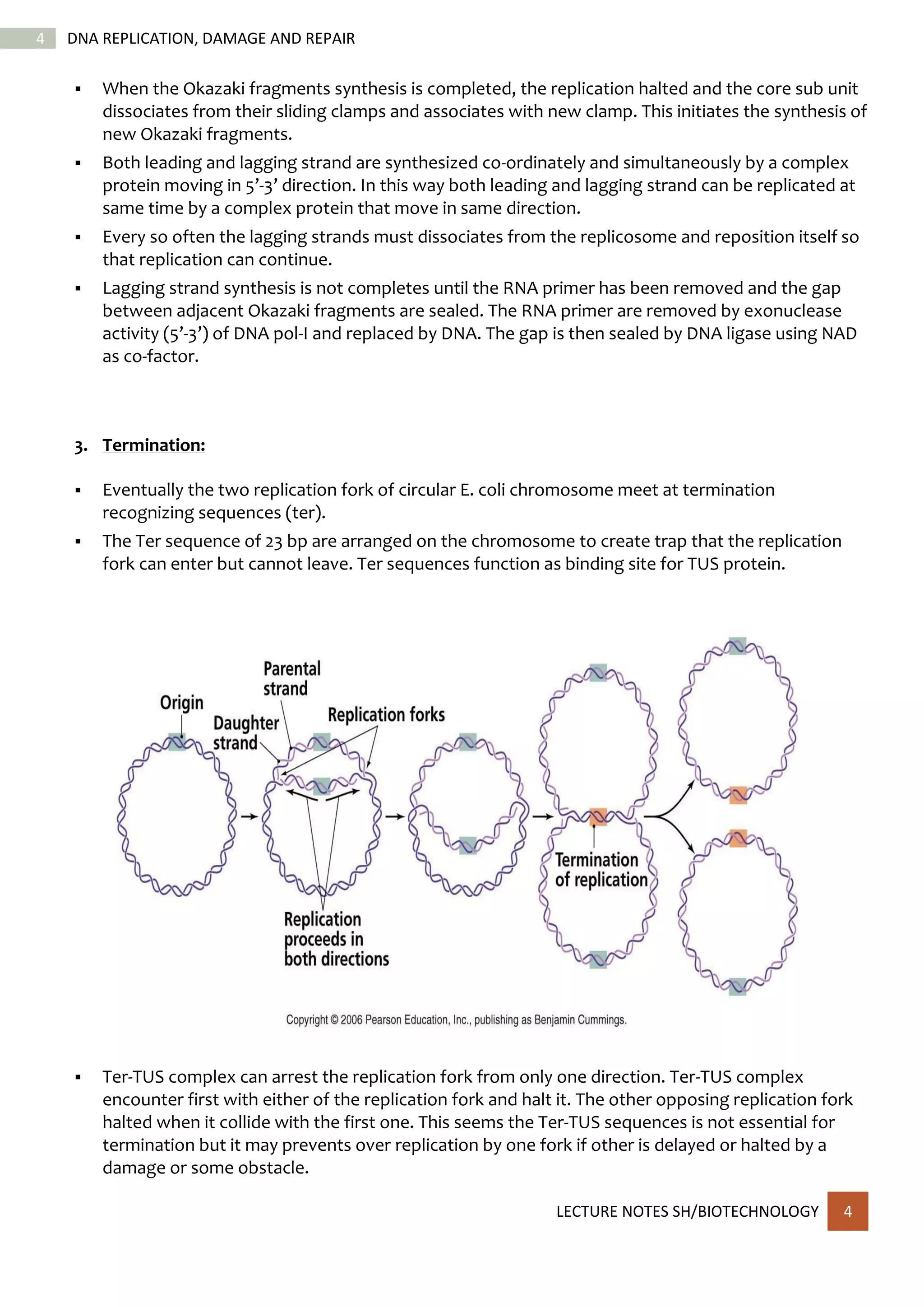 DNA REPLICATION DAMAGE AND REPAIR | PDF