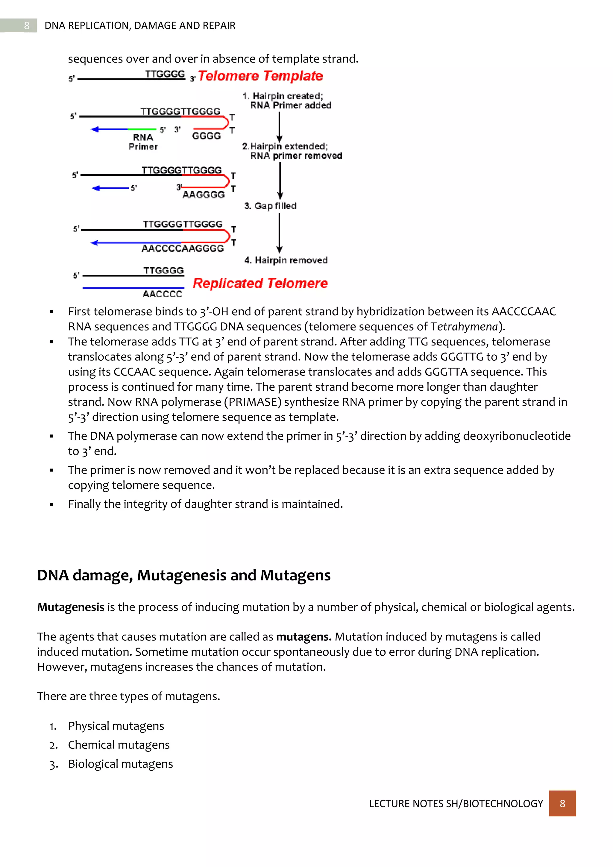 DNA REPLICATION DAMAGE AND REPAIR | PDF
