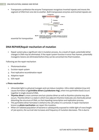 DNA REPLICATION DAMAGE AND REPAIR | PDF