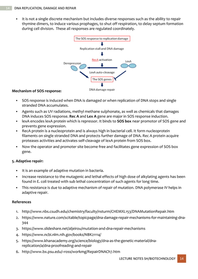 DNA REPLICATION DAMAGE AND REPAIR | PDF