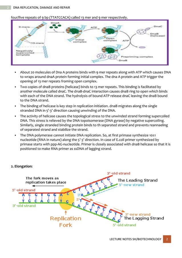 DNA REPLICATION DAMAGE AND REPAIR | PDF