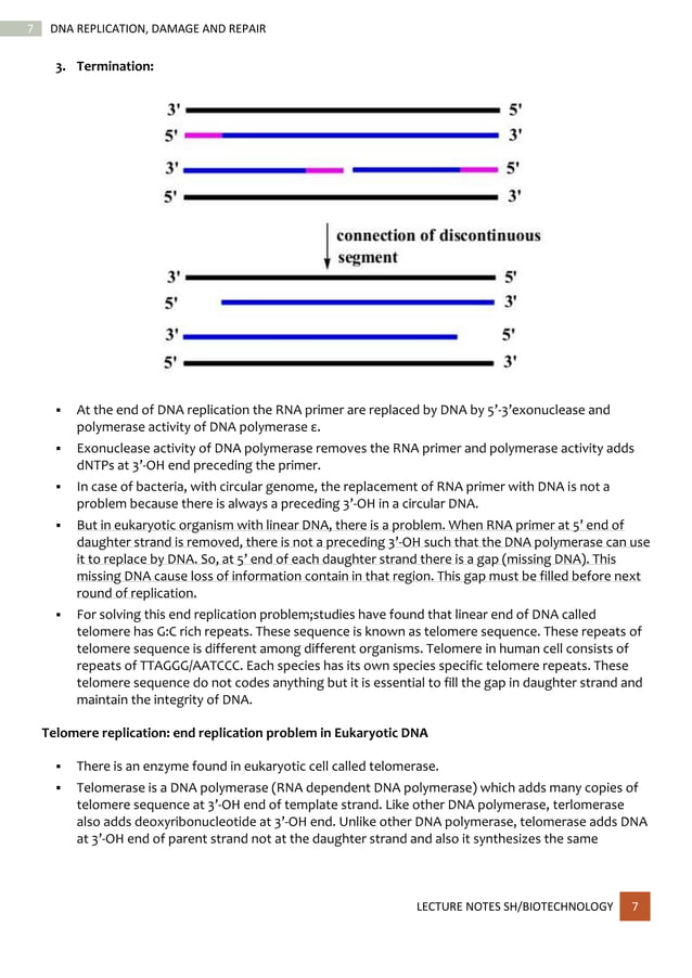 DNA REPLICATION DAMAGE AND REPAIR | PDF