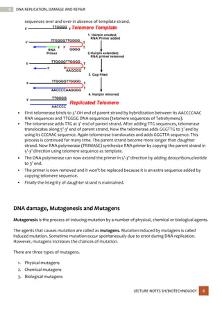 DNA REPLICATION DAMAGE AND REPAIR | PDF