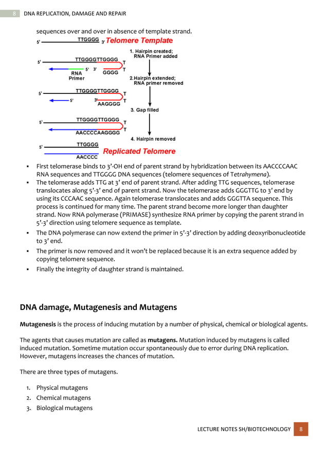 DNA REPLICATION DAMAGE AND REPAIR | PDF