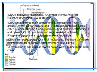 Biochemical Evidence For dna As Genetic Material | PPT