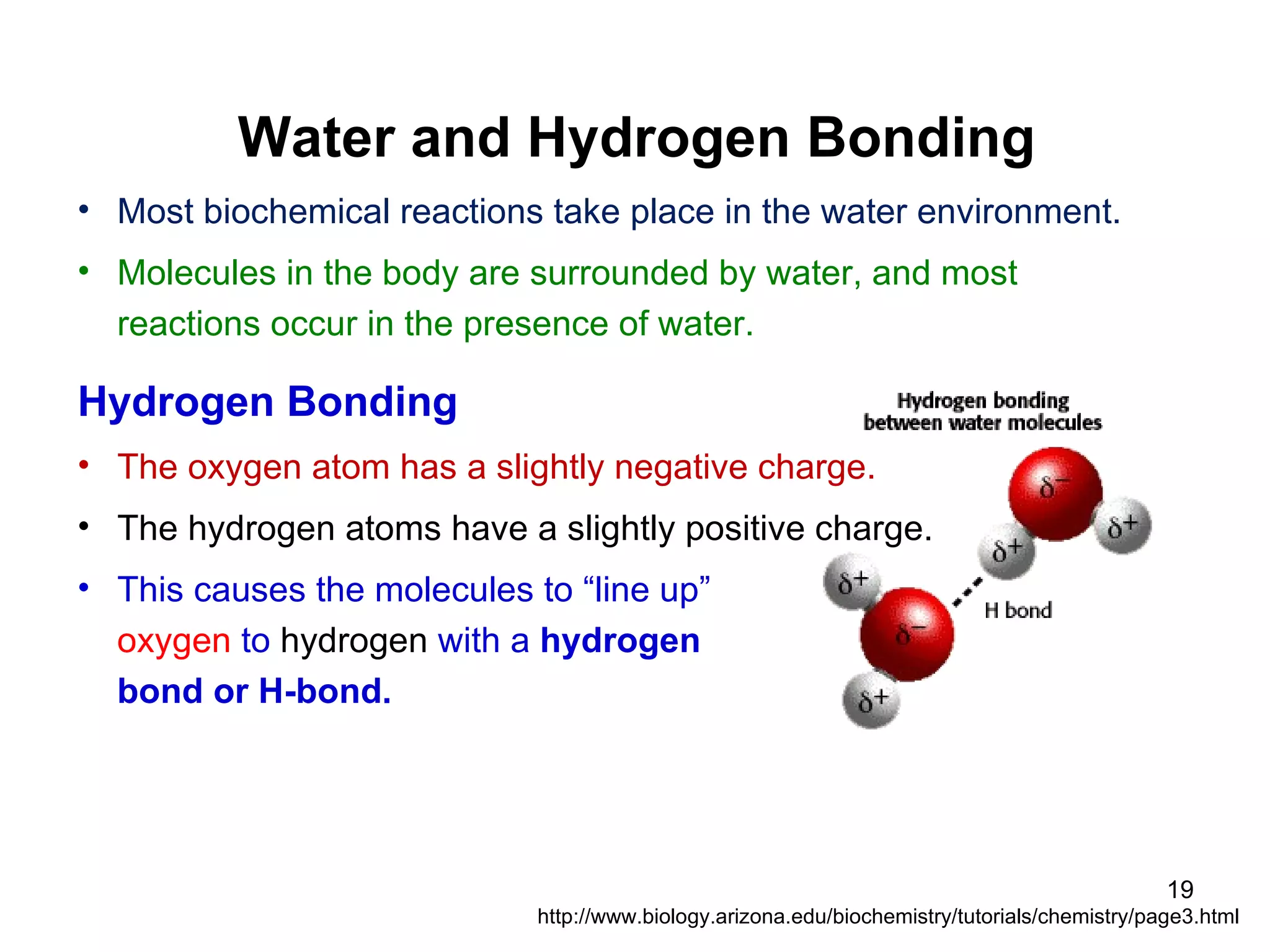 Molecular Biology 1-4 | PPT