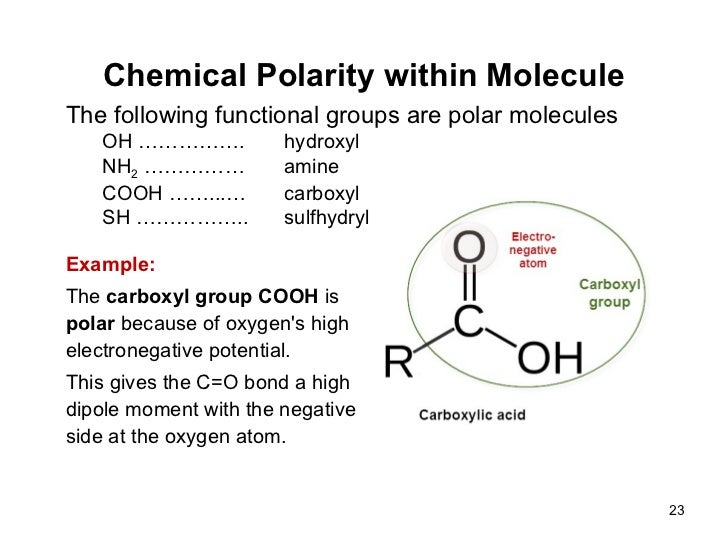 Molecular Biology 1-4