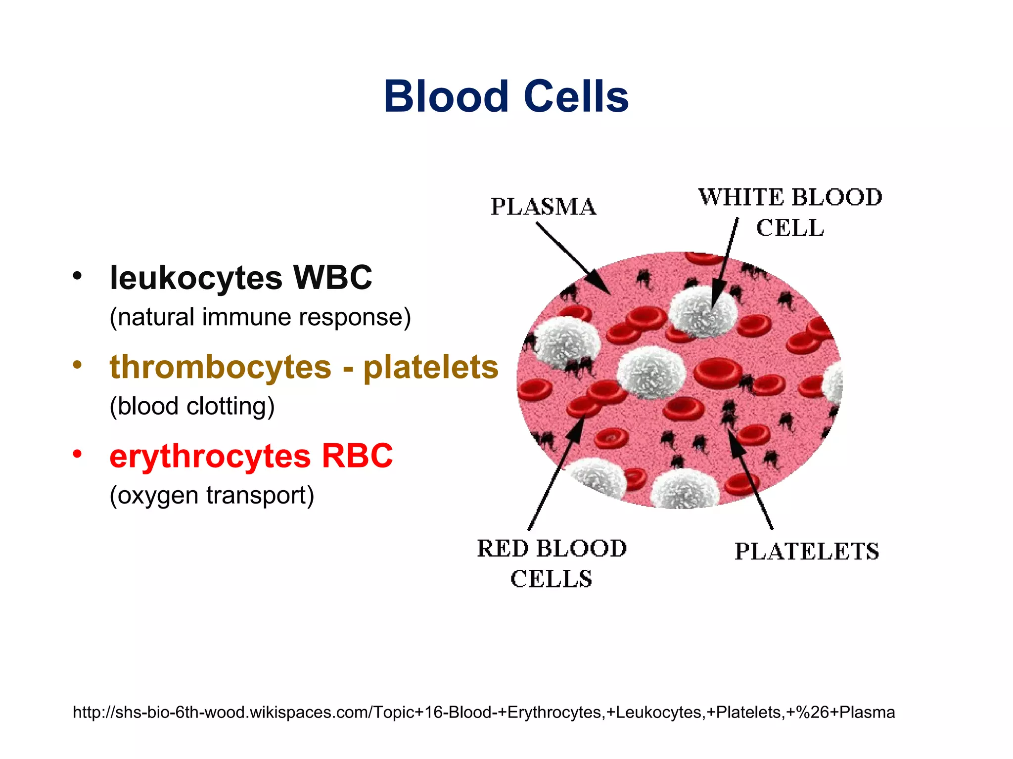 Molecular Biology 1-5 | PPT
