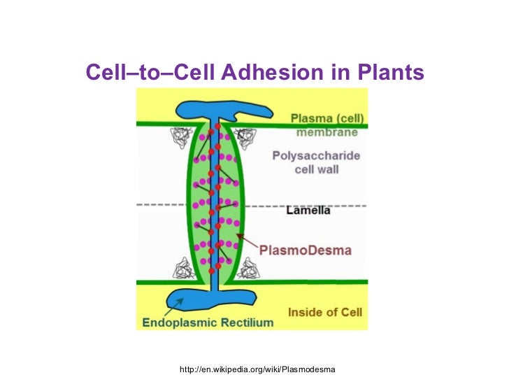 Molecular Biology 1-5