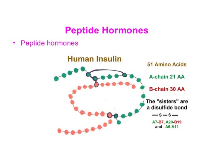 Molecular Biology 1-5