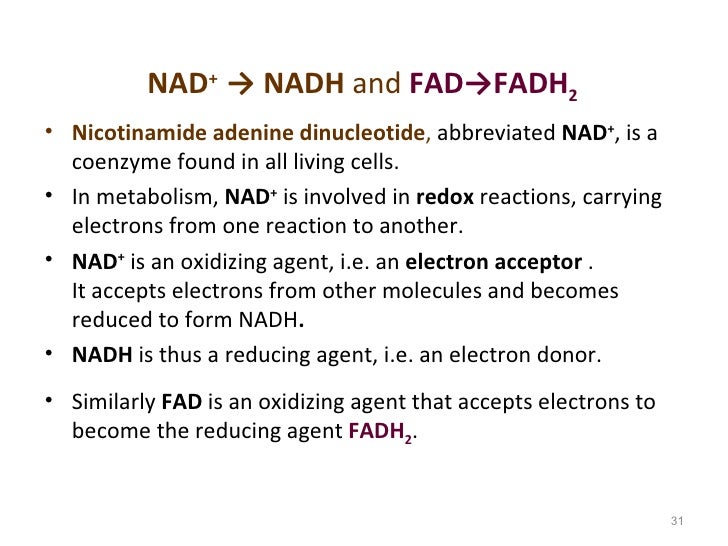 Molecular Biology 1-6