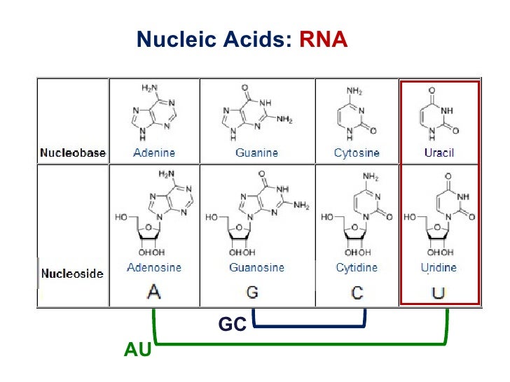 Molecular Biology 1-7
