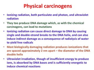 Molbiol of cancer | PPTX
