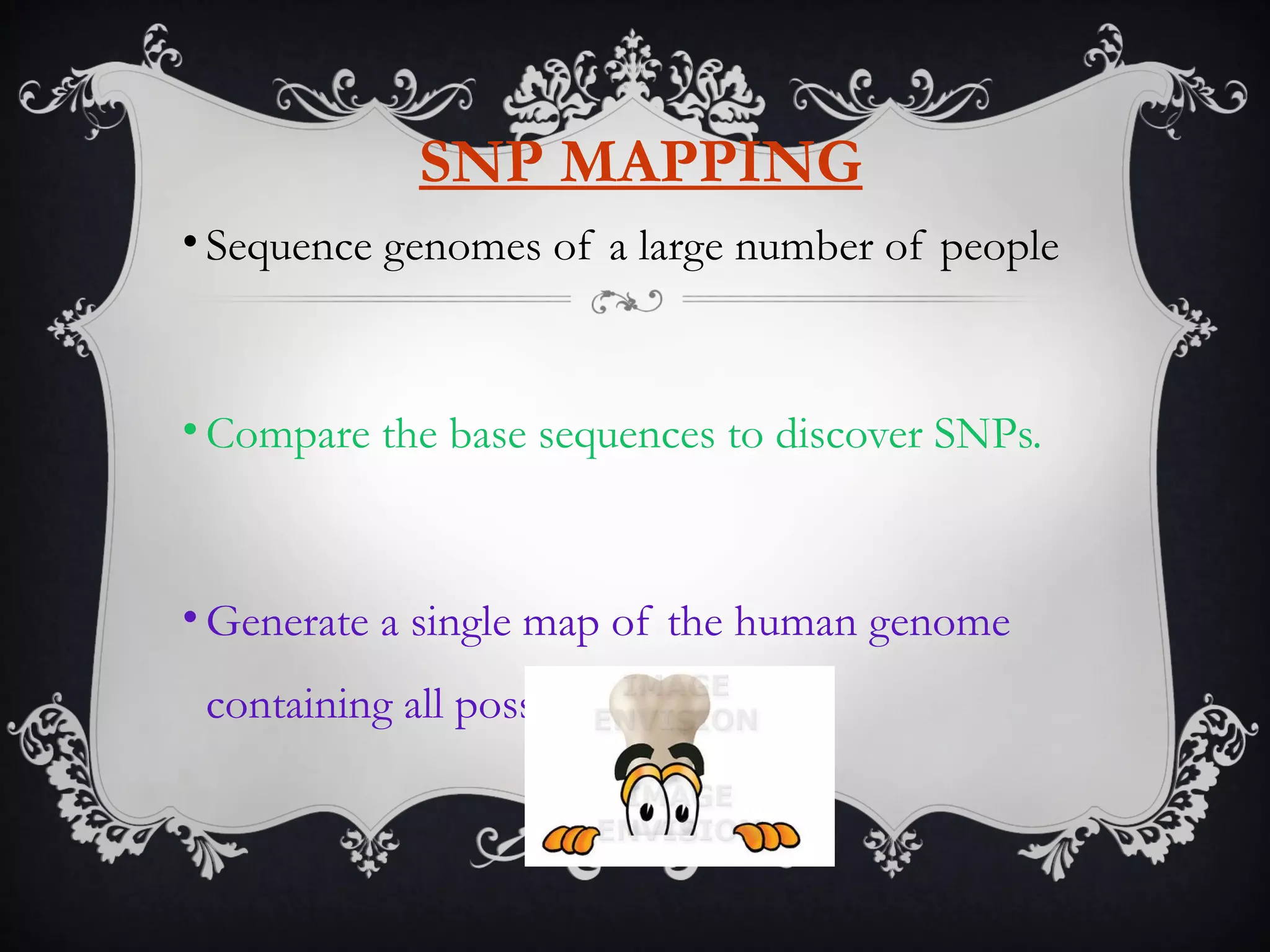 molecular biology pharmacogenomics and SNPs | PPT