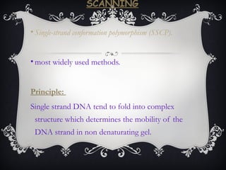 molecular biology pharmacogenomics and SNPs | PPT
