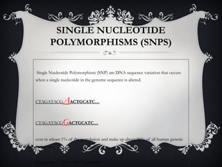 molecular biology pharmacogenomics and SNPs | PPT