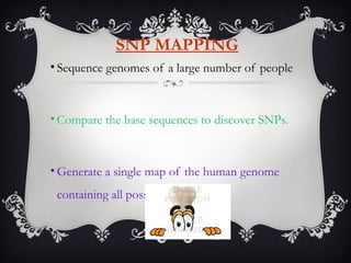 molecular biology pharmacogenomics and SNPs | PPT