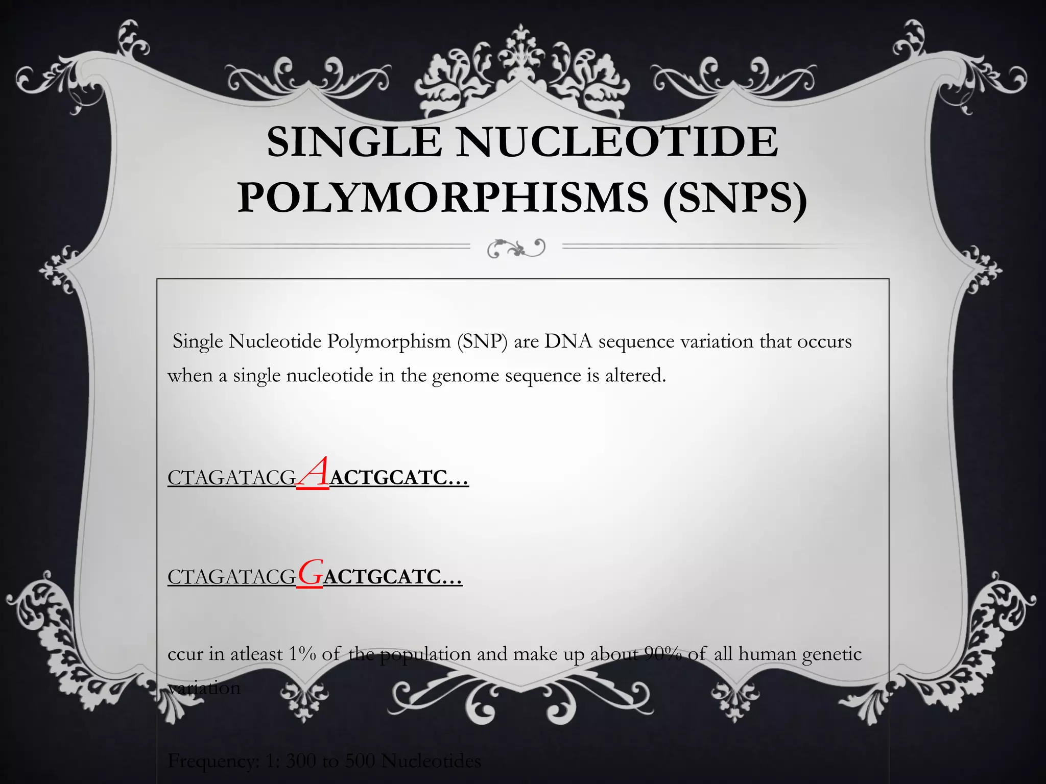 molecular biology pharmacogenomics and SNPs | PPT