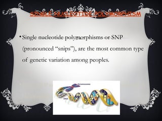 molecular biology pharmacogenomics and SNPs | PPT