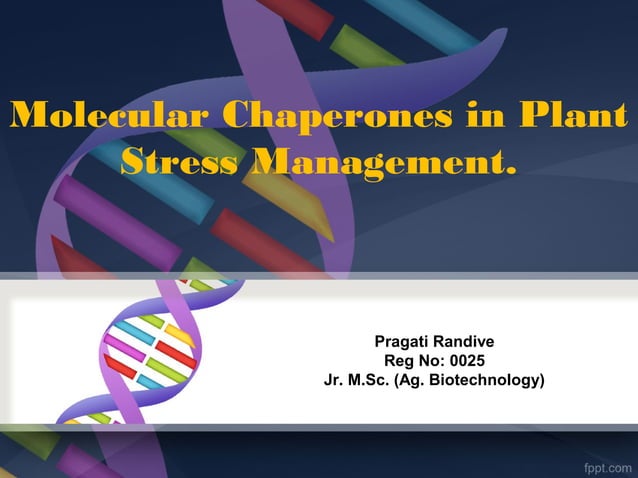 Molecular chaperones in plant stress management | PPT