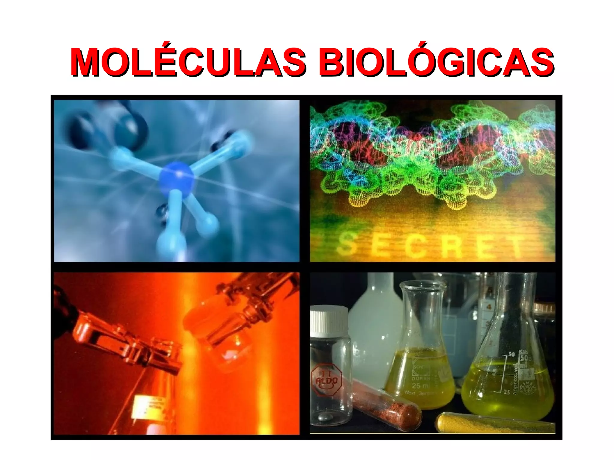 MoléCulas BiolóGicas | PPT
