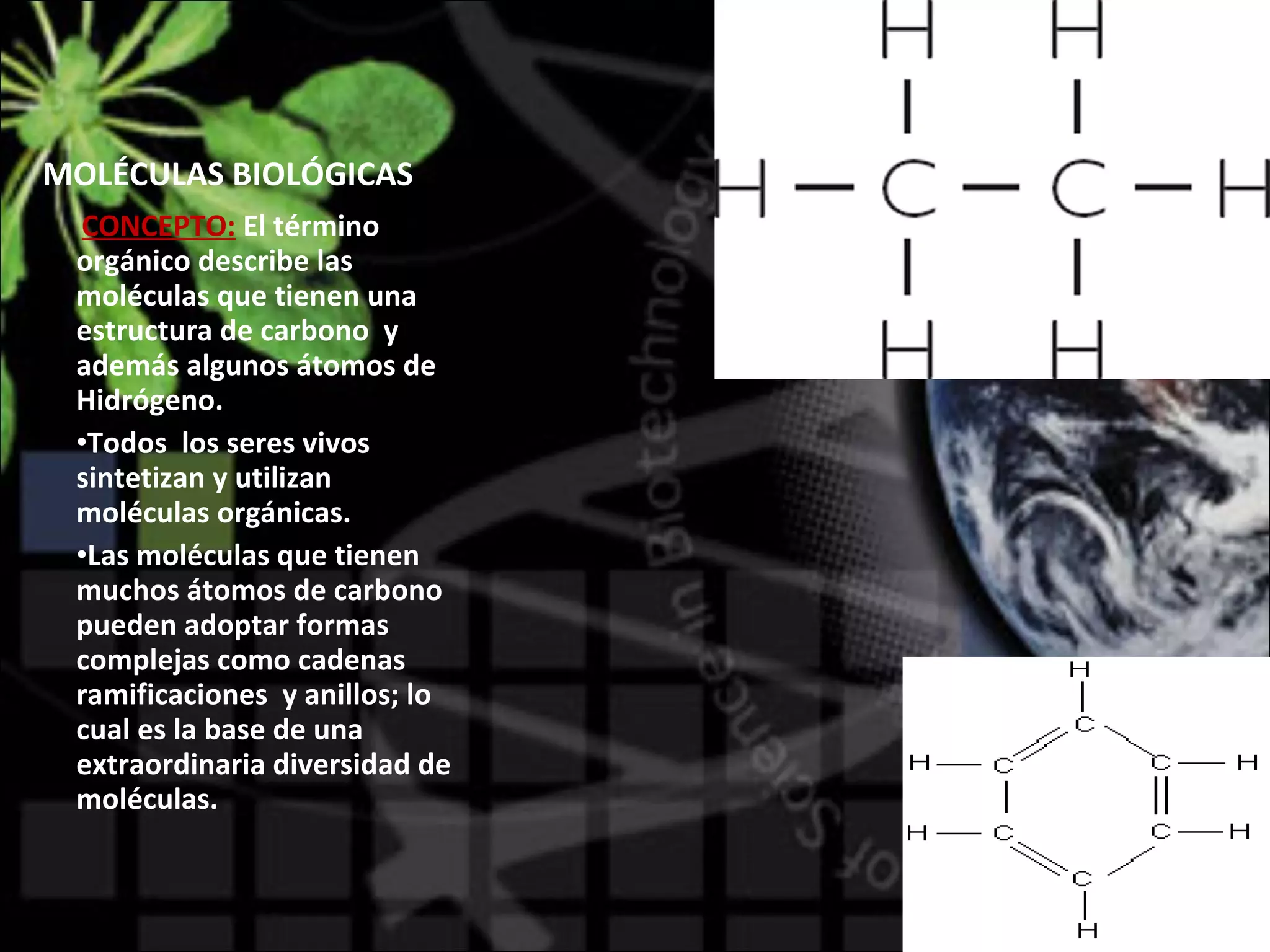 MoléCulas Biológicas | PPT