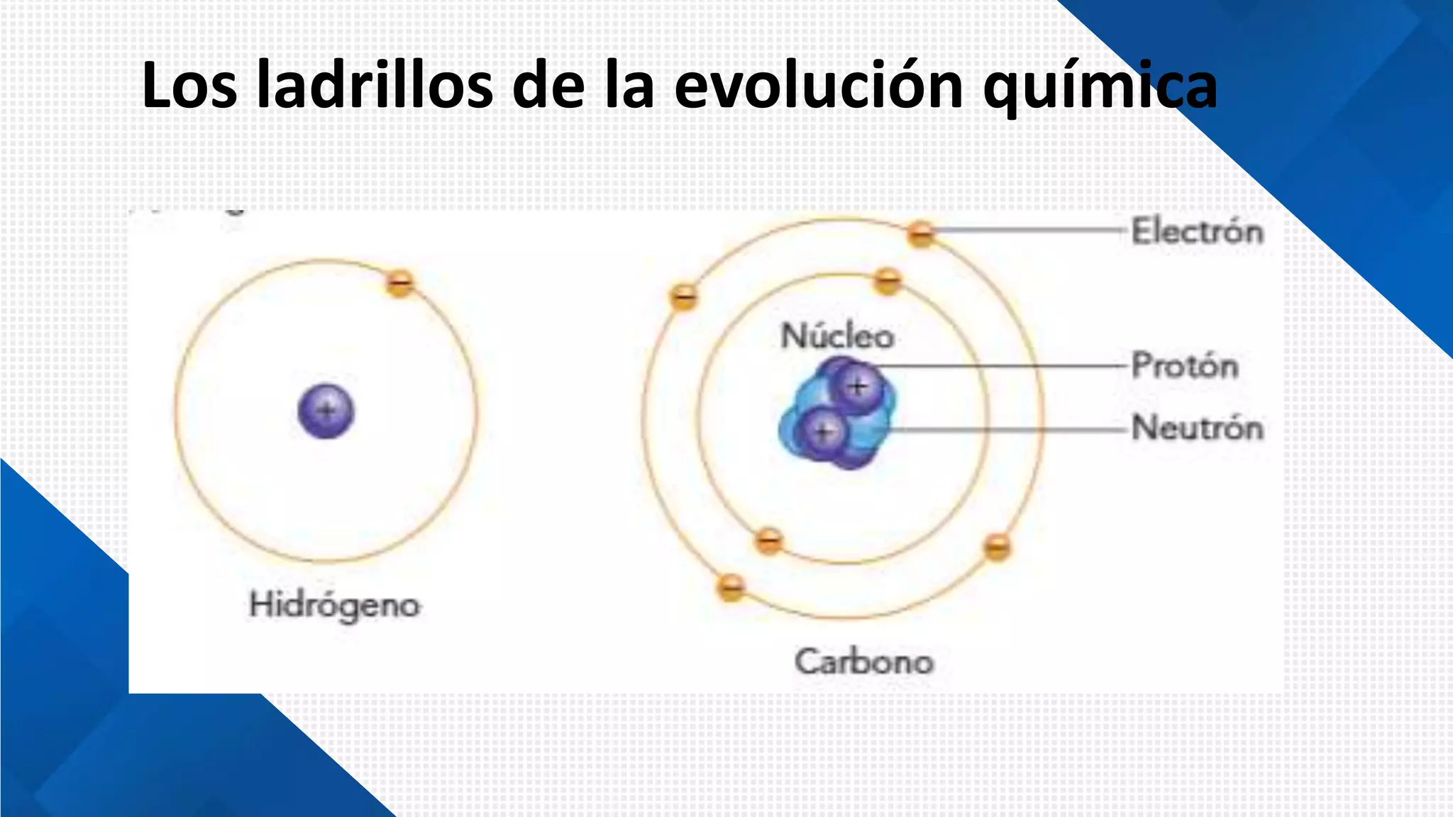 Moléculas Biológicas Ives.pptx