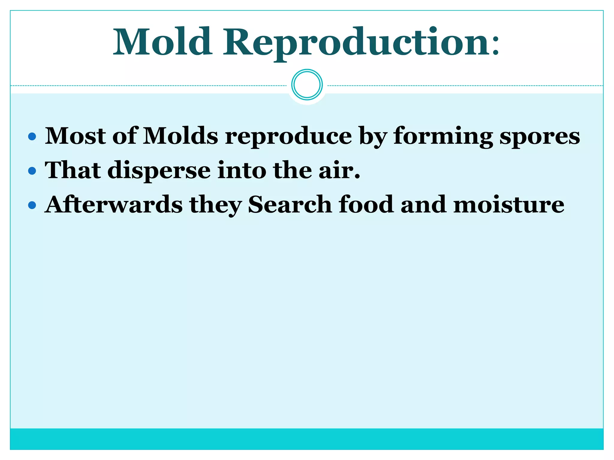 Mold | PPTX