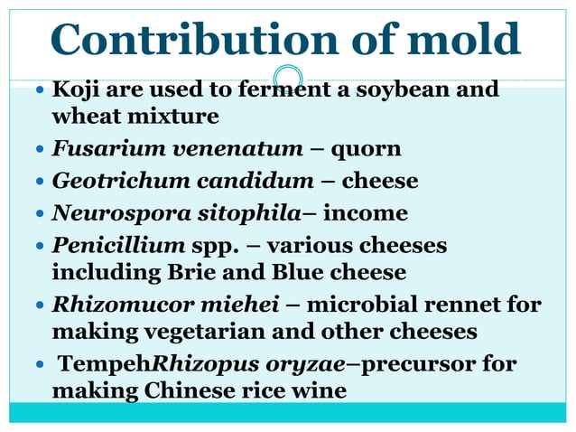 Mold | PPTX | Gardening | Home & Garden