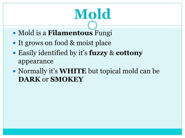 Mold | PPTX | Gardening | Home & Garden