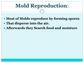 Mold | PPTX