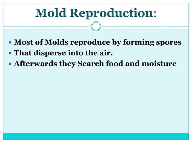 Mold | PPTX | Gardening | Home & Garden