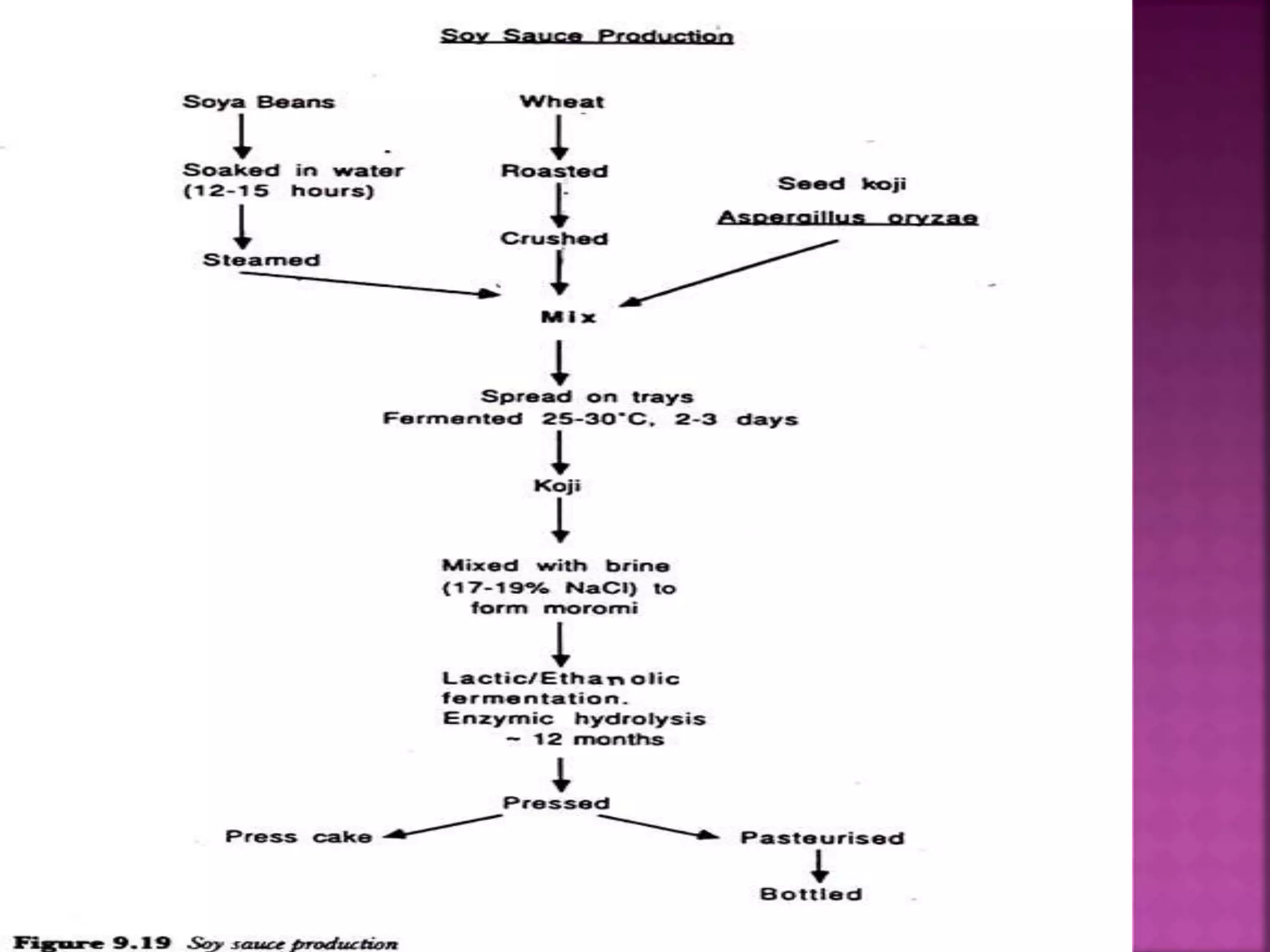 MOLD FERMENTATION FOODS .pptx