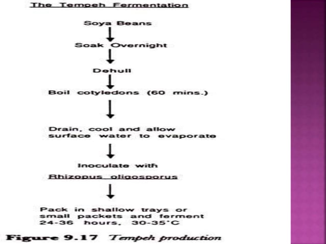 MOLD FERMENTATION FOODS .pptx