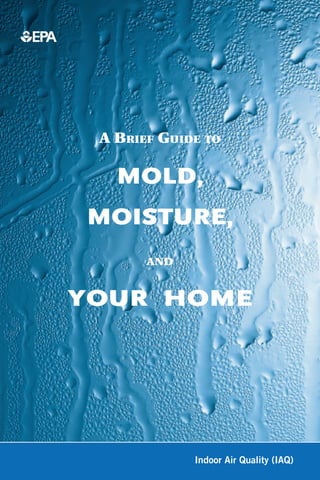 Mold Guide | PDF