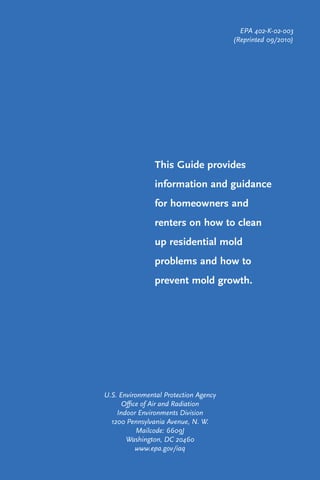 Mold Guide | PDF
