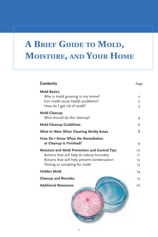 Mold Guide | PDF