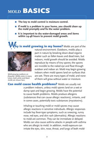 Mold Guide | PDF
