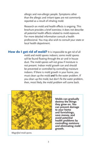 Mold Guide | PDF
