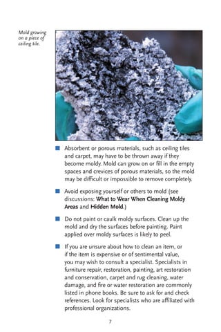 Mold Guide | PDF