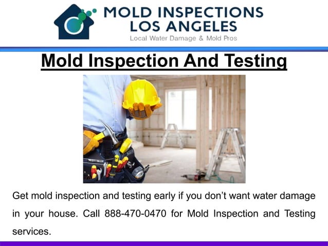 Mold Inspections Los Angeles | PPT