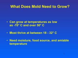 Mold Presentation | PPS