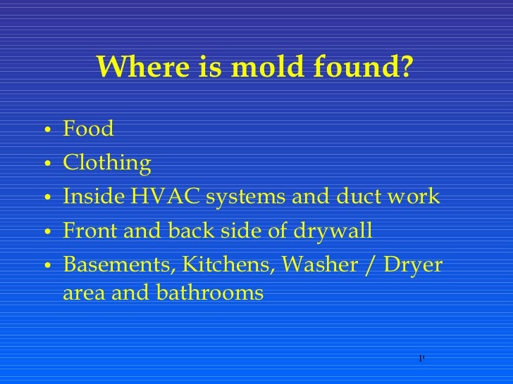 Mold Presentation